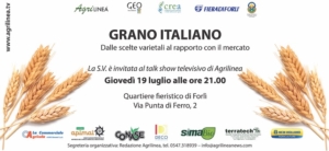 Grano italiano: dalle scelte varietali al rapporto con il mercato ...