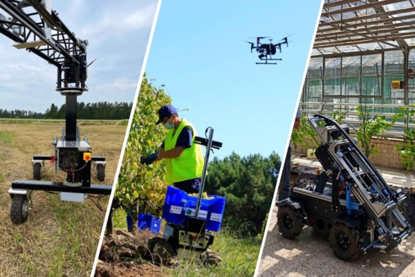 Robot agricoli più flessibili con FlexiGroBots - Agrimeccanica - AgroNotizie