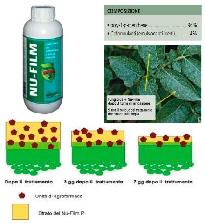 Nu-Film-P, coadiuvante per agrofarmaci a base di pinolene - Difesa e ...