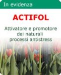 ACTIFOL, ATTIVATORE E PROMOTORE DEI NATURALI PROCESSI ANTISTRESS ...