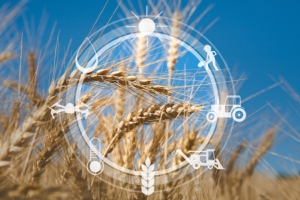 Tecnologie dell'agrifood: è nata la Siena Food Lab Academy - Economia e politica - AgroNotizie