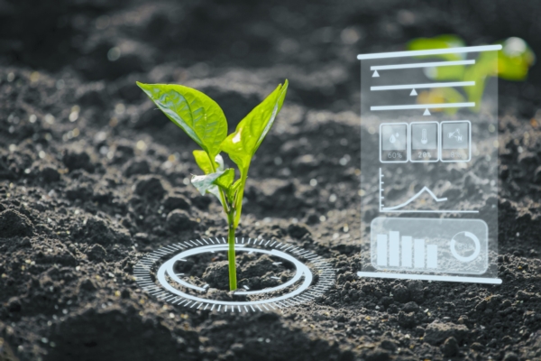 EVENTO - I crediti di carbonio e il futuro dell'agricoltura - Economia e politica - AgroNotizie