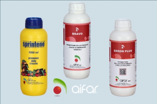 Melone e anguria: come dare sprint alla coltura? - Fertilizzazione - AgroNotizie