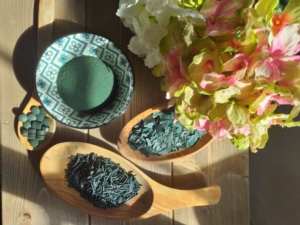 Spirulina made in Italy sinonimo di sicurezza - Agronomia - AgroNotizie