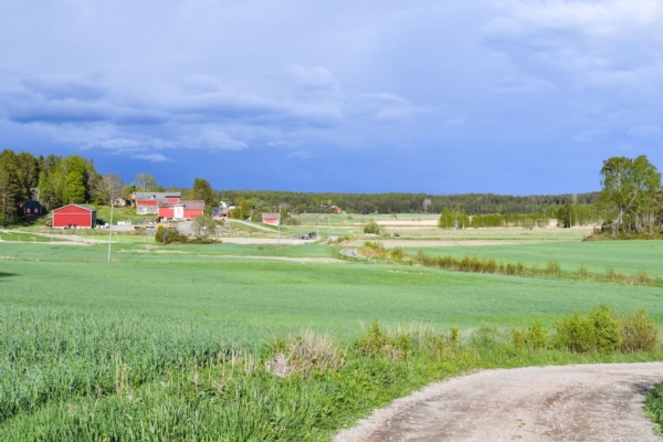 Aree rurali, come evitare il loro abbandono - Economia e politica ...
