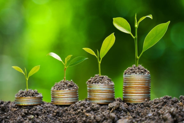 Fondo AgriCat, c'è il Regolamento di funzionamento - Economia e ...