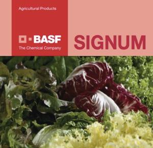 Signum di Basf mette il turbo alla lattuga - Difesa e diserbo - AgroNotizie