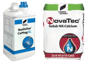 Fertilizzazione fogliare e radicale, la combo di Compo ...