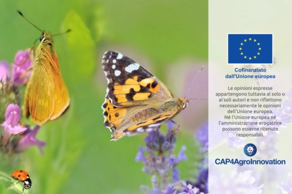 La biodiversità alla prova di nuove sfide, innovazione e sviluppo ...