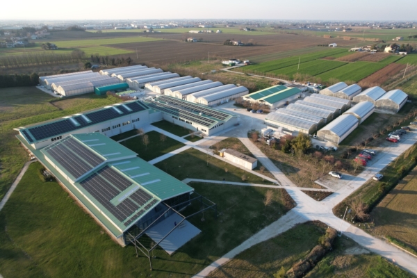 Insetti utili: come si allevano - Difesa e diserbo - AgroNotizie