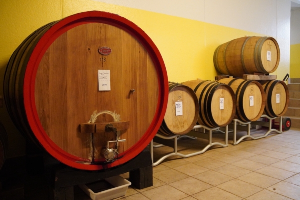 Ocm Vino investimenti: c'è la proroga - Economia e politica - AgroNotizie