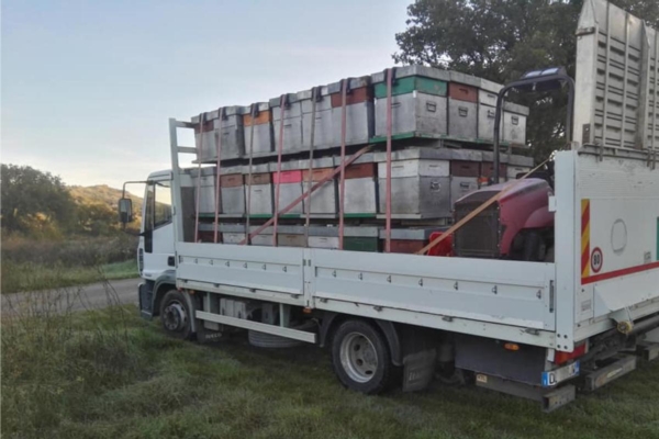 Apicoltura, i mezzi aziendali possono viaggiare anche nei festivi ...