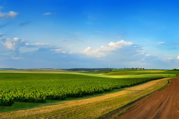 Aree rurali: più forti, connesse, resilienti e prospere - Economia e ...