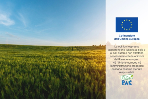 P come Pac e paesaggio - Economia e politica - AgroNotizie