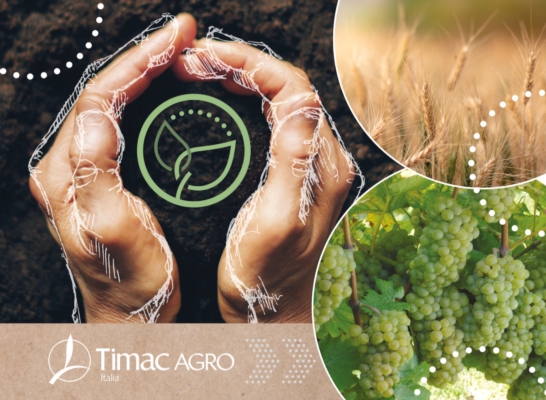 I prodotti per il bio di TIMAC AGRO Italia - Fertilizzazione - AgroNotizie