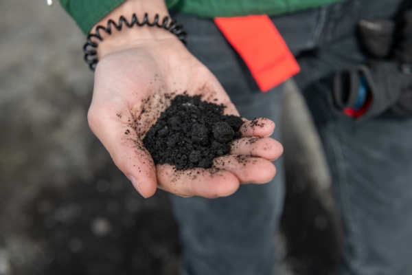 Cenere vulcanica come fertilizzante, si può fare - Fertilizzazione ...