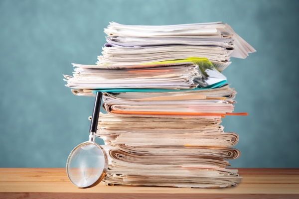 Milleproroghe, novità per Xylella e Granaio Italia - Economia e ...