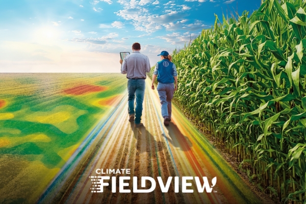 La semina a rateo variabile del mais - Agronomia - AgroNotizie