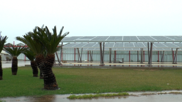 Ecco la prima Comunità Energetica Rinnovabile - Bioenergie - AgroNotizie