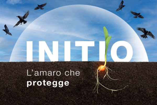 Concia del mais: con Initio semi sempre protetti - Agronomia - AgroNotizie