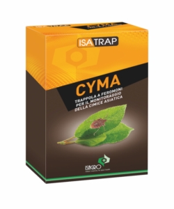 Come mettere in trappola la Cimice asiatica - Difesa e diserbo ...