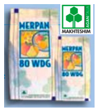 Merpan 80 WDG e la Bolla del pesco - Difesa e diserbo - AgroNotizie