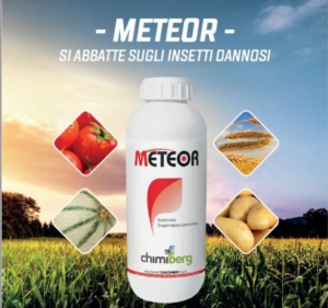 Warning! Gli insetti dannosi saranno abbattuti - Difesa e diserbo ...