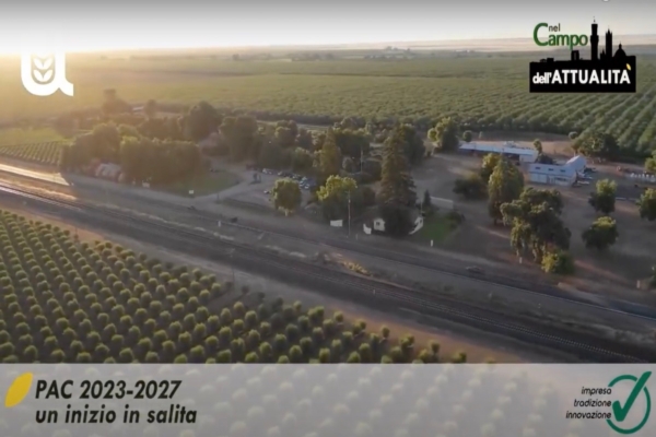 Pac 2023-2027, qual è l'impatto sulle aziende agricole? - Economia e politica - AgroNotizie