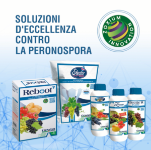 Electis, Zoxium e Reboot: soluzioni d'eccellenza contro la peronospora ...