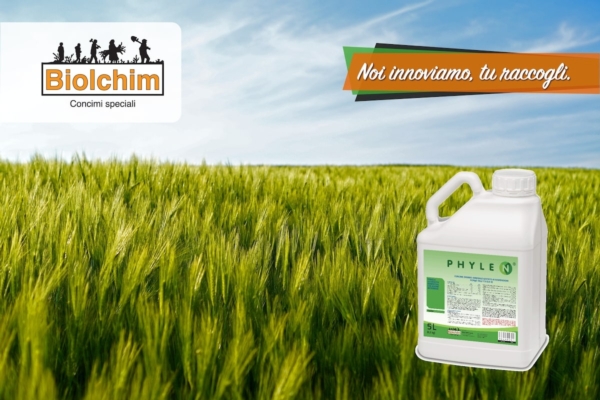 Lo sviluppo del frumento non ha più ostacoli - Fertilizzazione ...