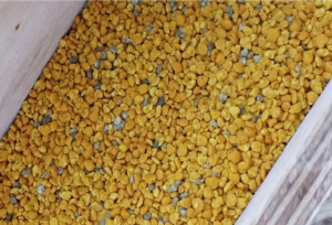 Polline, un nuovo metodo per la ricerca degli alcaloidi - Zootecnia ...