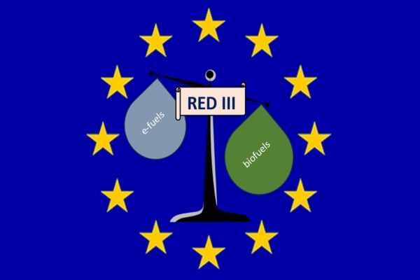 Energie rinnovabili, analisi della Red III - Bioenergie - AgroNotizie