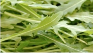 La rucola in serra è sana con Ilsastim+ di Ilsa - Fertilizzazione ...