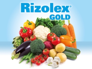 Insalate e orticole al sicuro dai funghi patogeni - Difesa e diserbo ...