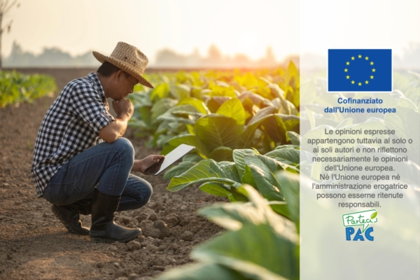 Agricoltura sostenibile grazie alla tecnologia - Economia e politica - AgroNotizie