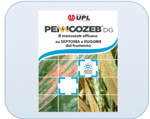 Gara dura per i patogeni - Difesa e diserbo - AgroNotizie