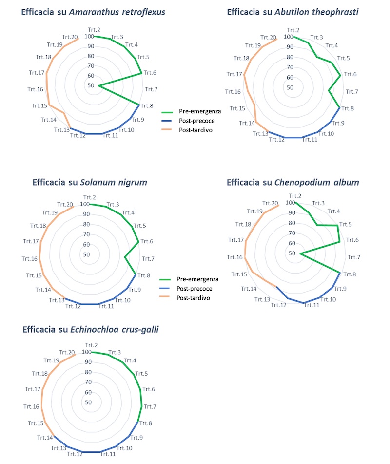 Protocollo di diserbo su mais di Agricola 2000 - Difesa e diserbo ...