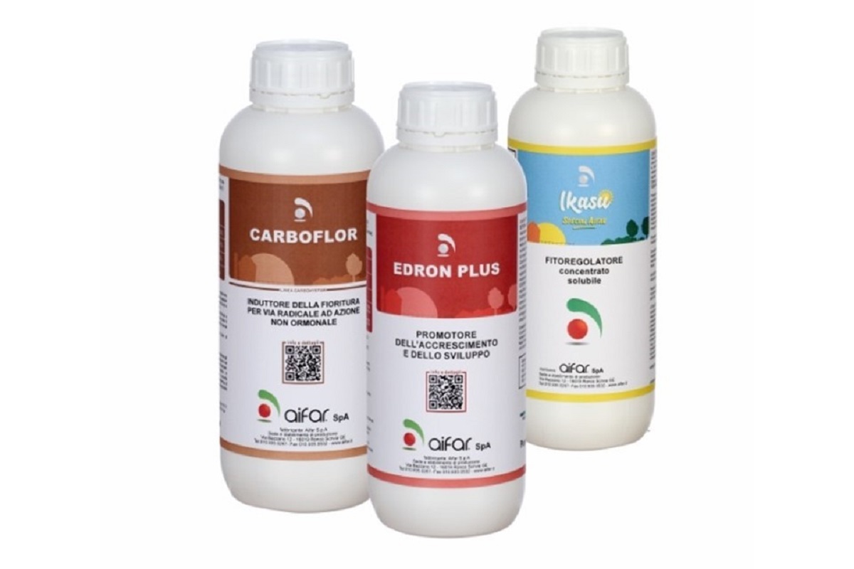 La fragola, dalla fioritura alla raccolta - Fertilizzazione - AgroNotizie