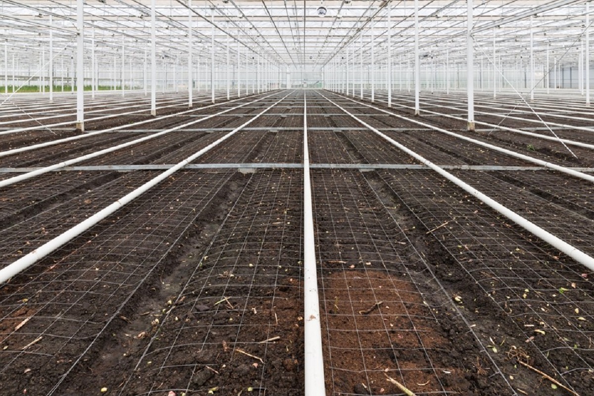 Aifar Soil e Aifar Start, e il suolo ringrazia - Fertilizzazione ...