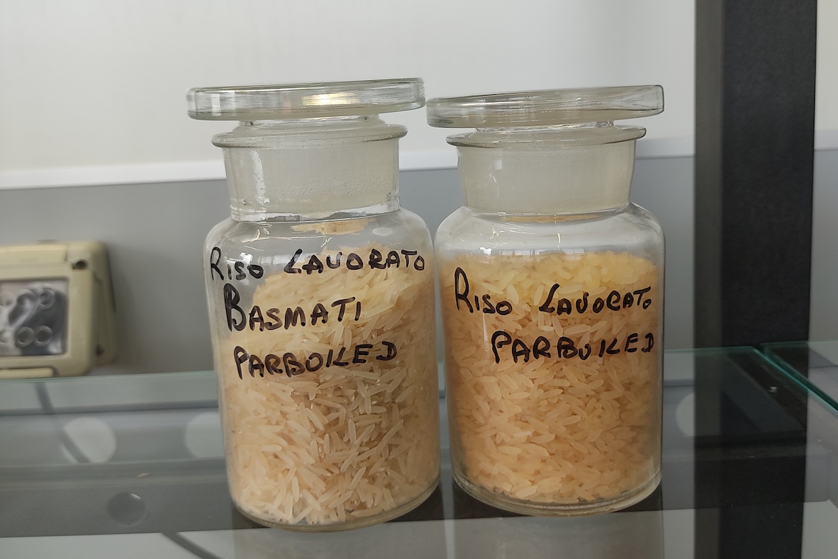 Riso, il futuro passa da tecnologia e genetica - Agronomia - AgroNotizie