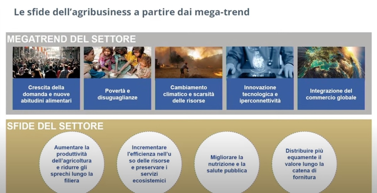 Hai detto intelligenza artificiale? - Economia e politica - AgroNotizie