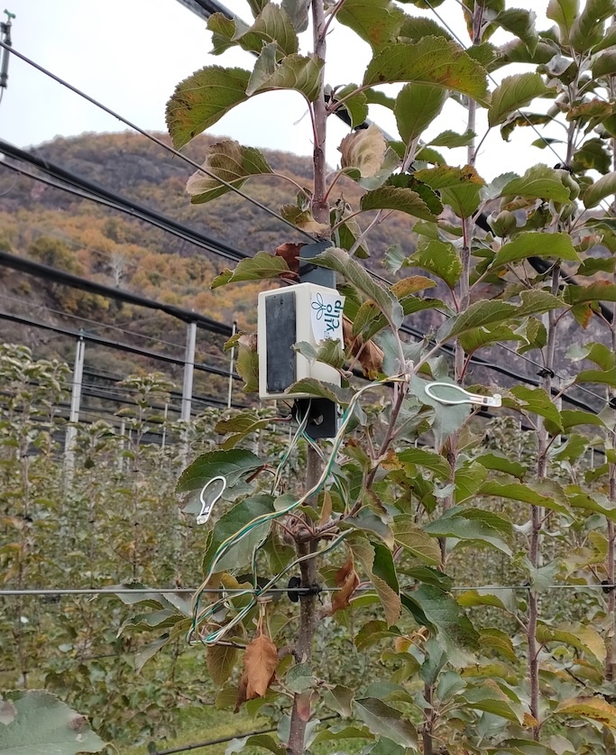 La tecnologia entra nel meleto - Agronomia - AgroNotizie