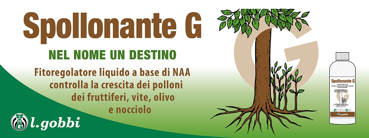 Polloni, come eliminarli in un solo passaggio - Difesa e diserbo ...