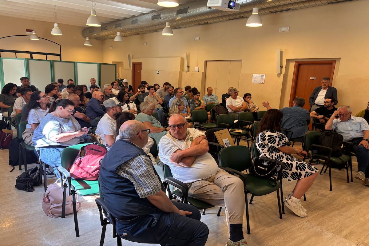 Sfide comuni nei laboratori di micropropagazione - Agronomia - AgroNotizie