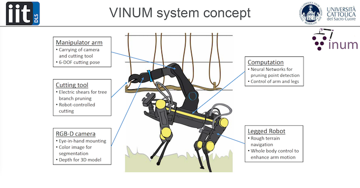 Quando il robot pota le viti - Agrimeccanica - AgroNotizie