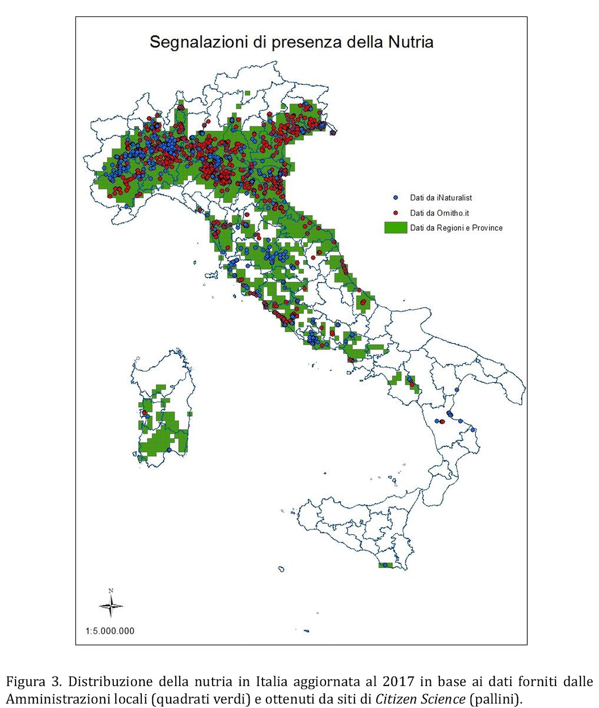 L'agricoltore può sparare alle nutrie? - Difesa e diserbo - AgroNotizie