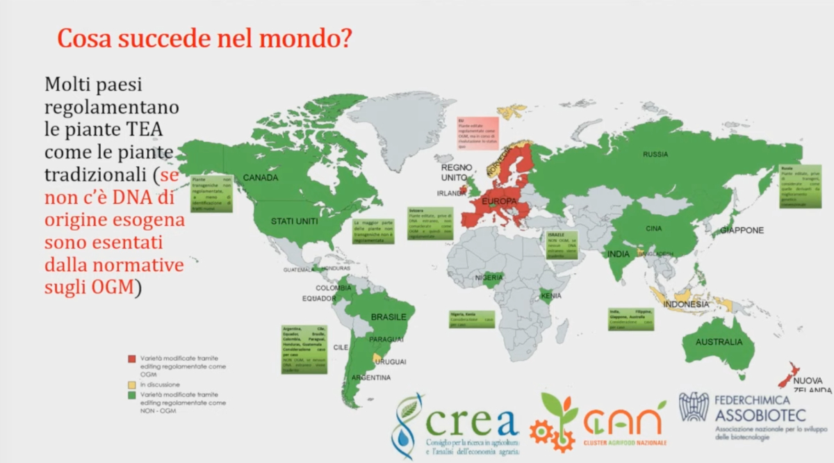 Miglioramento vegetale, entro l'anno la legge sulle Tea - Economia e ...
