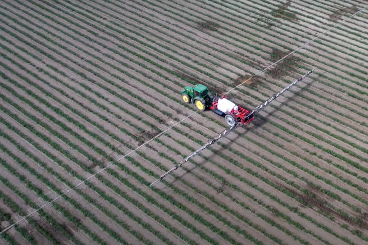 Diserbo del pomodoro e gestione integrata - Difesa e diserbo - AgroNotizie