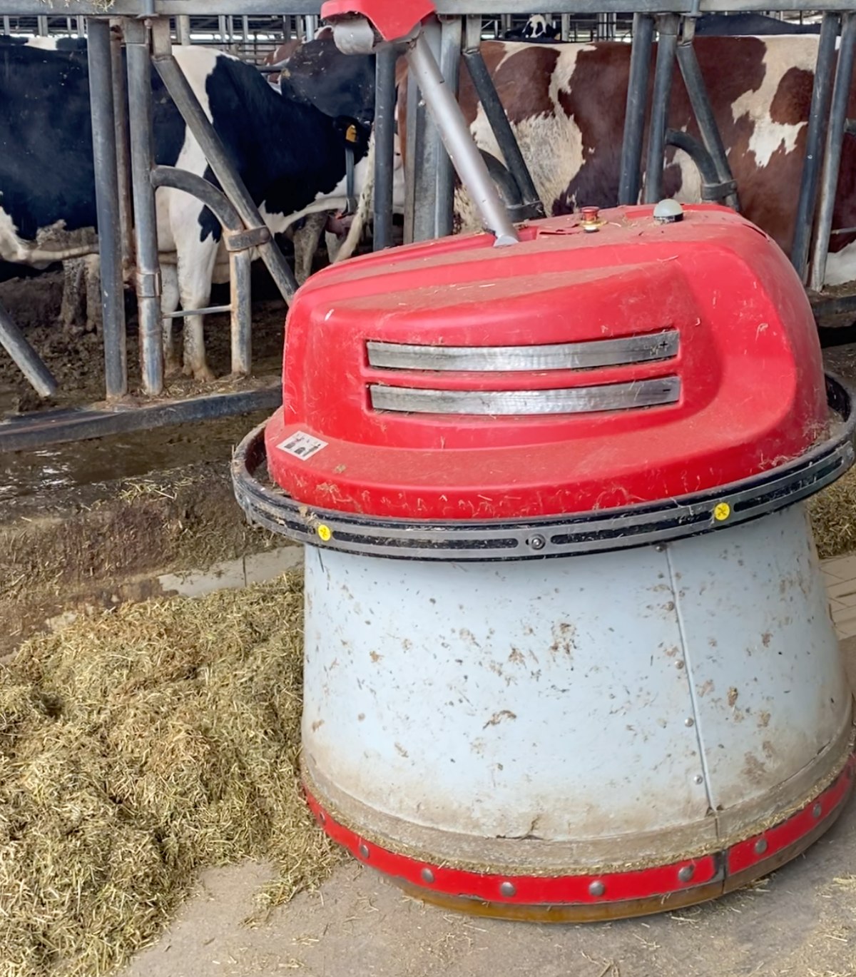 La zootecnia di precisione applicata alla stalla da latte. Il caso ...