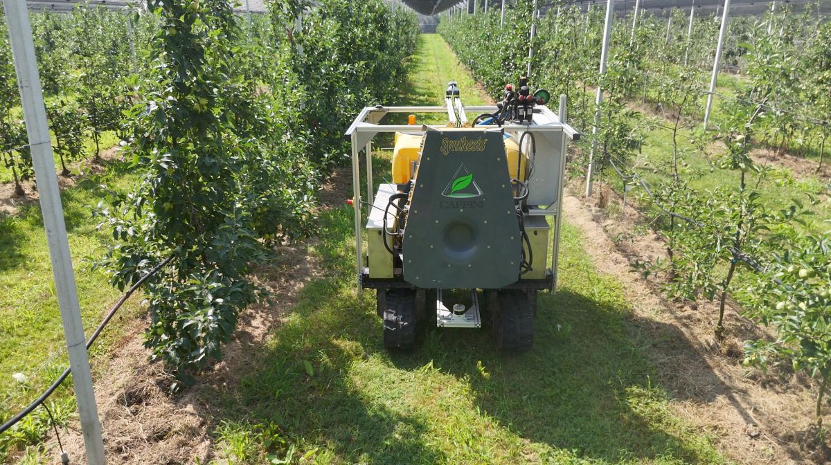 Difesa, smart spraying per una minore deriva - Difesa e diserbo ...